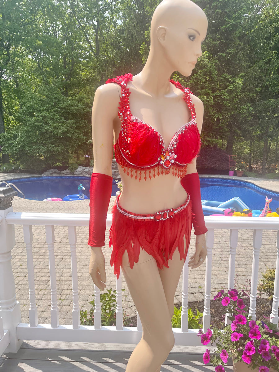 Saints and Sinners Devil Bra and Skirt Dance costume – L'Amour Le Allure